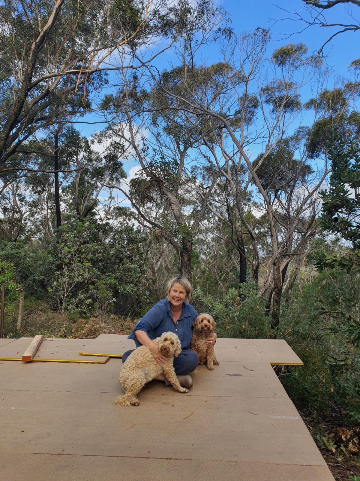 Bush pod studio 3m x 6m under construction at Wentworth Falls, Blue ...