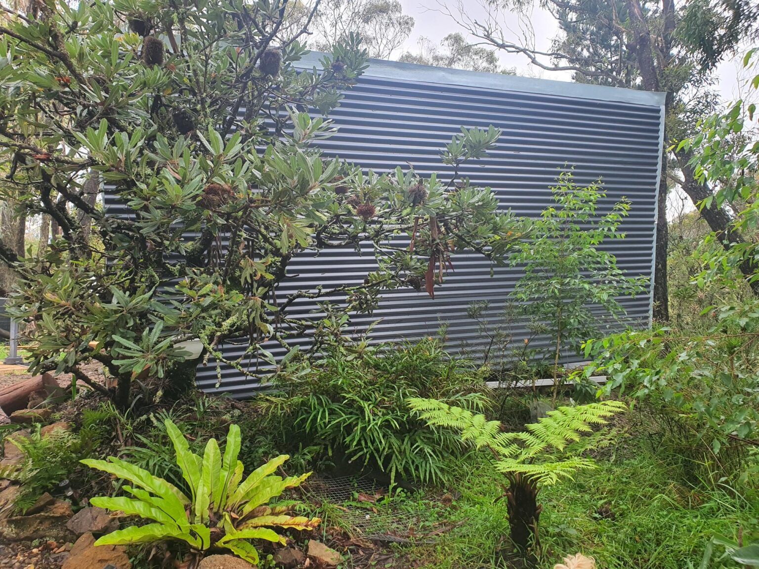 Bush pod studio 3m x 6m under construction at Wentworth Falls, Blue ...